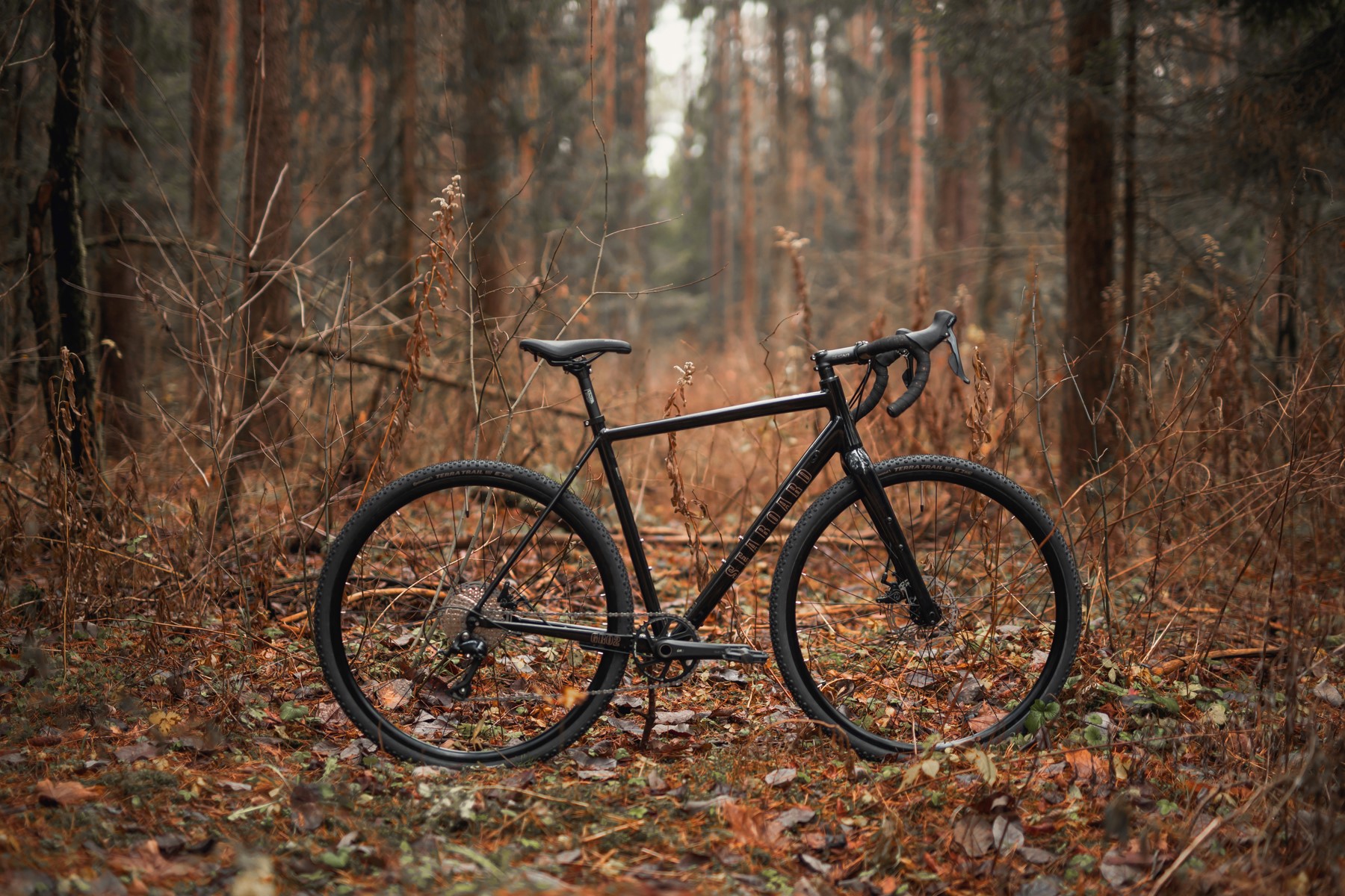 Велосипед Seaboard GR02, чёрный | City Bikes